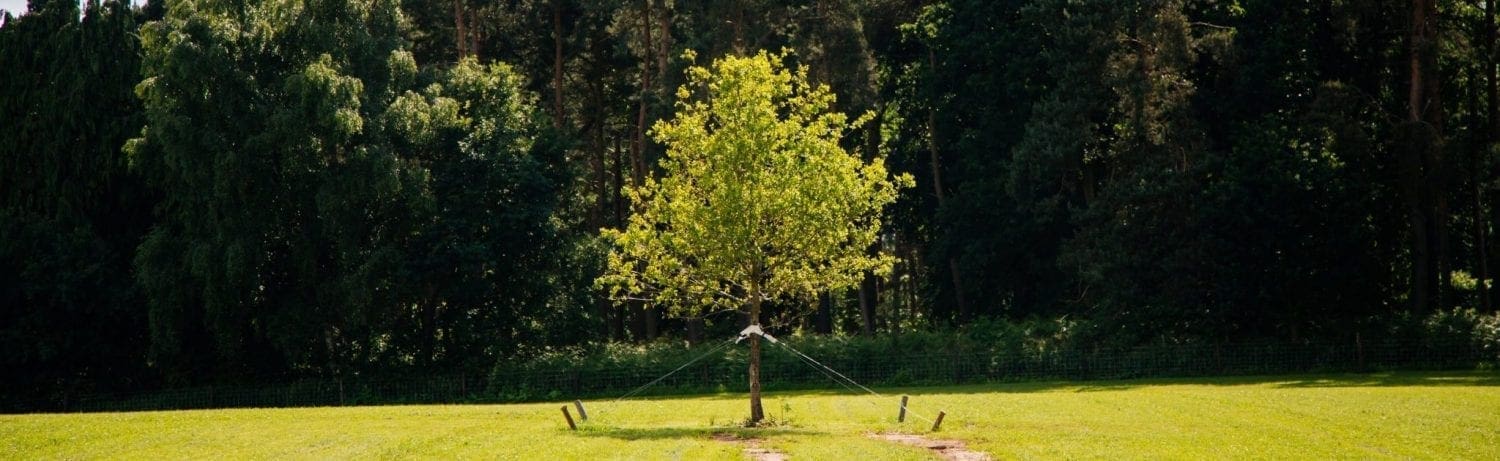 A Path to a Cure – Multiple System Atrophy Trust