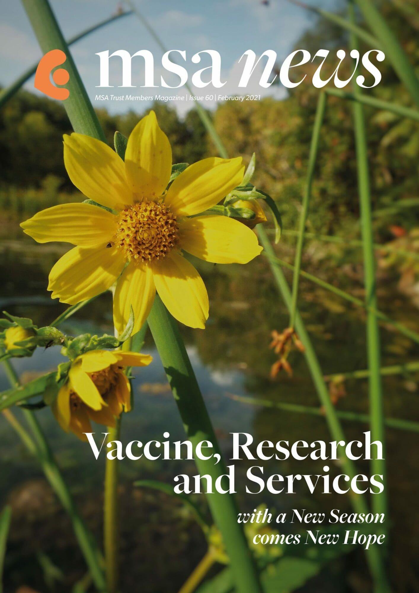 MSA News Magazine – Multiple System Atrophy Trust